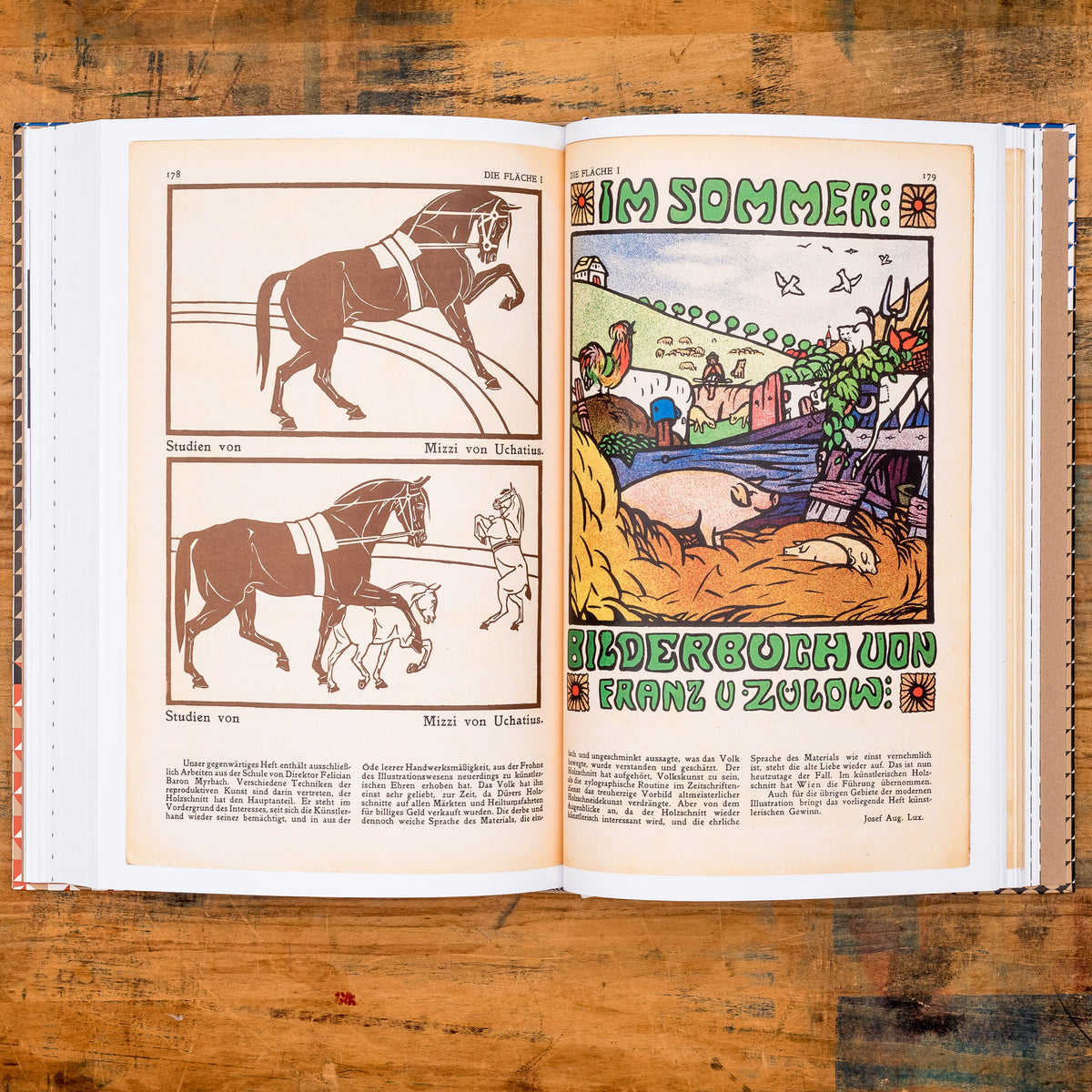 Die Flache: Design and Lettering of the Vienna Secession, 1902-1911 ...