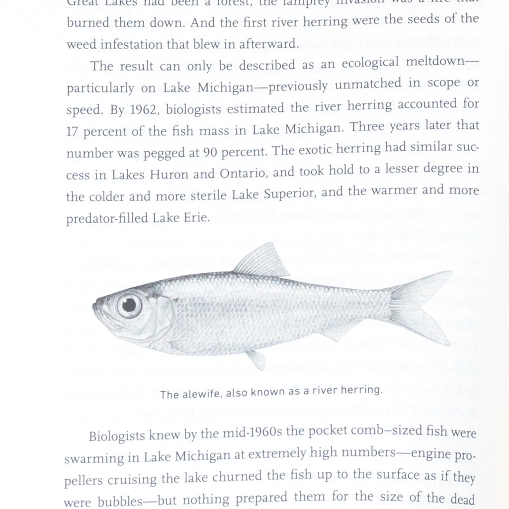 The Death and Life of The Great Lakes by Dan Egan – Hamilton Wood Type ...