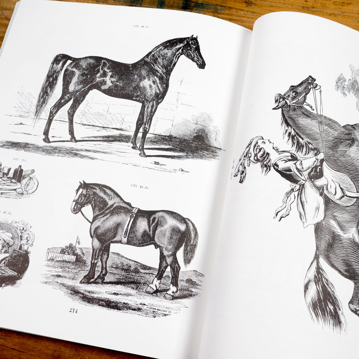 Cincinnati Type Foundry Specimen Book – Hamilton Wood Type Museum