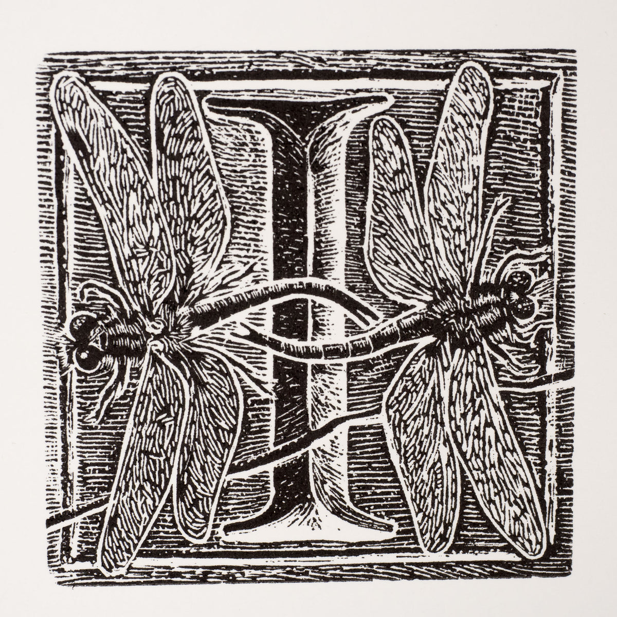 Original Print: Wood Engravers' Network Large Alphabet – Hamilton Wood ...