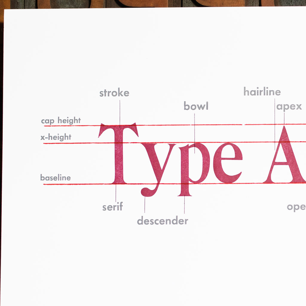Original Print: Type Anatomy Poster – Hamilton Wood Type Museum