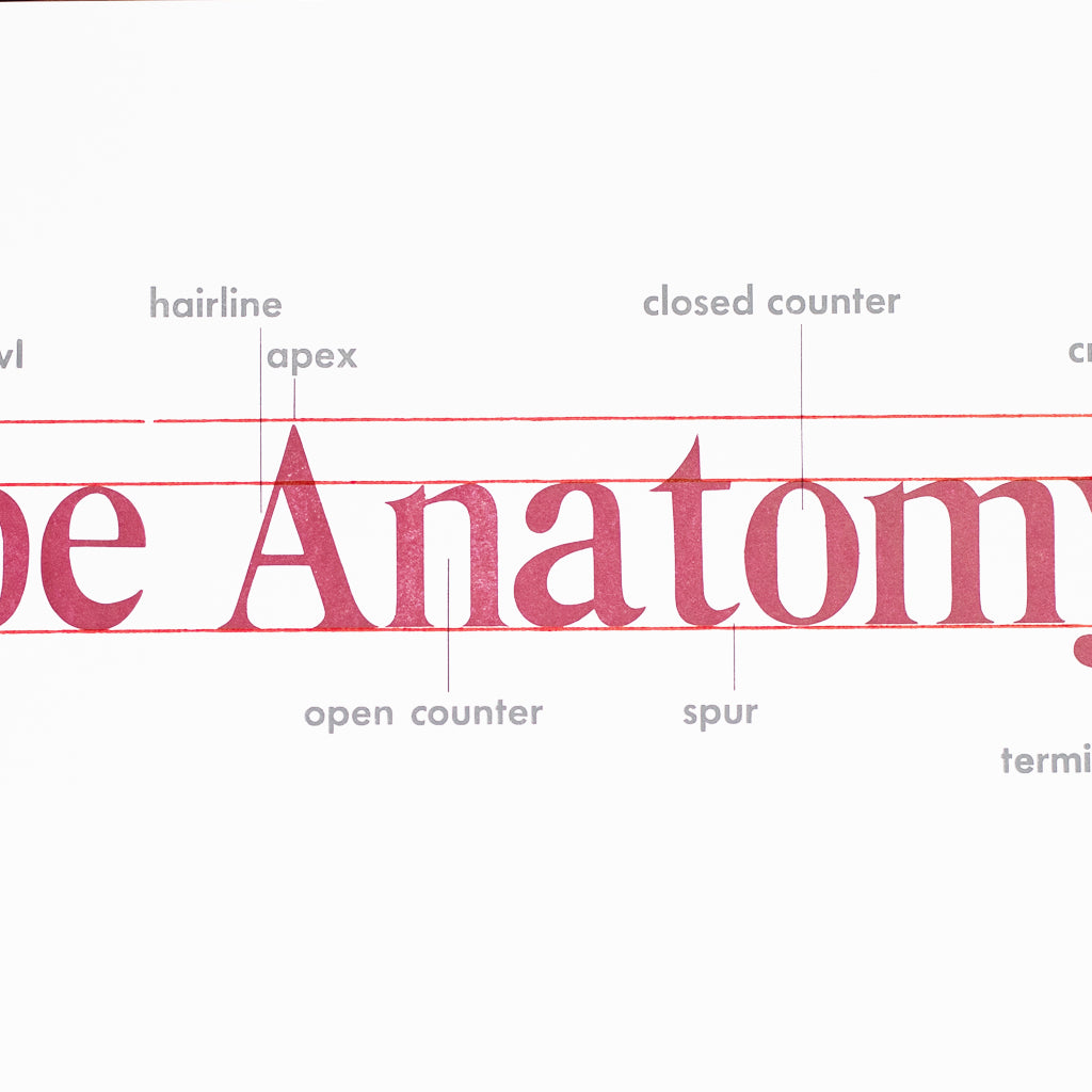 Original Print: Type Anatomy Poster – Hamilton Wood Type Museum