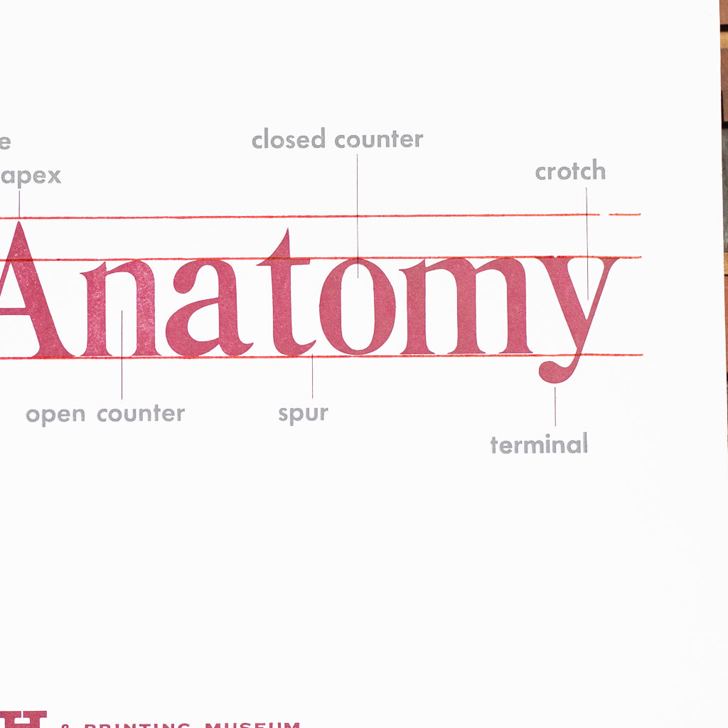Original Print: Type Anatomy Poster – Hamilton Wood Type Museum