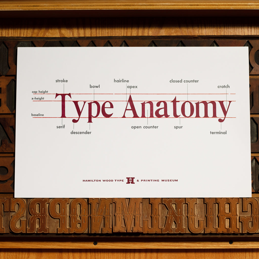 Original Print: Type Anatomy Poster – Hamilton Wood Type Museum